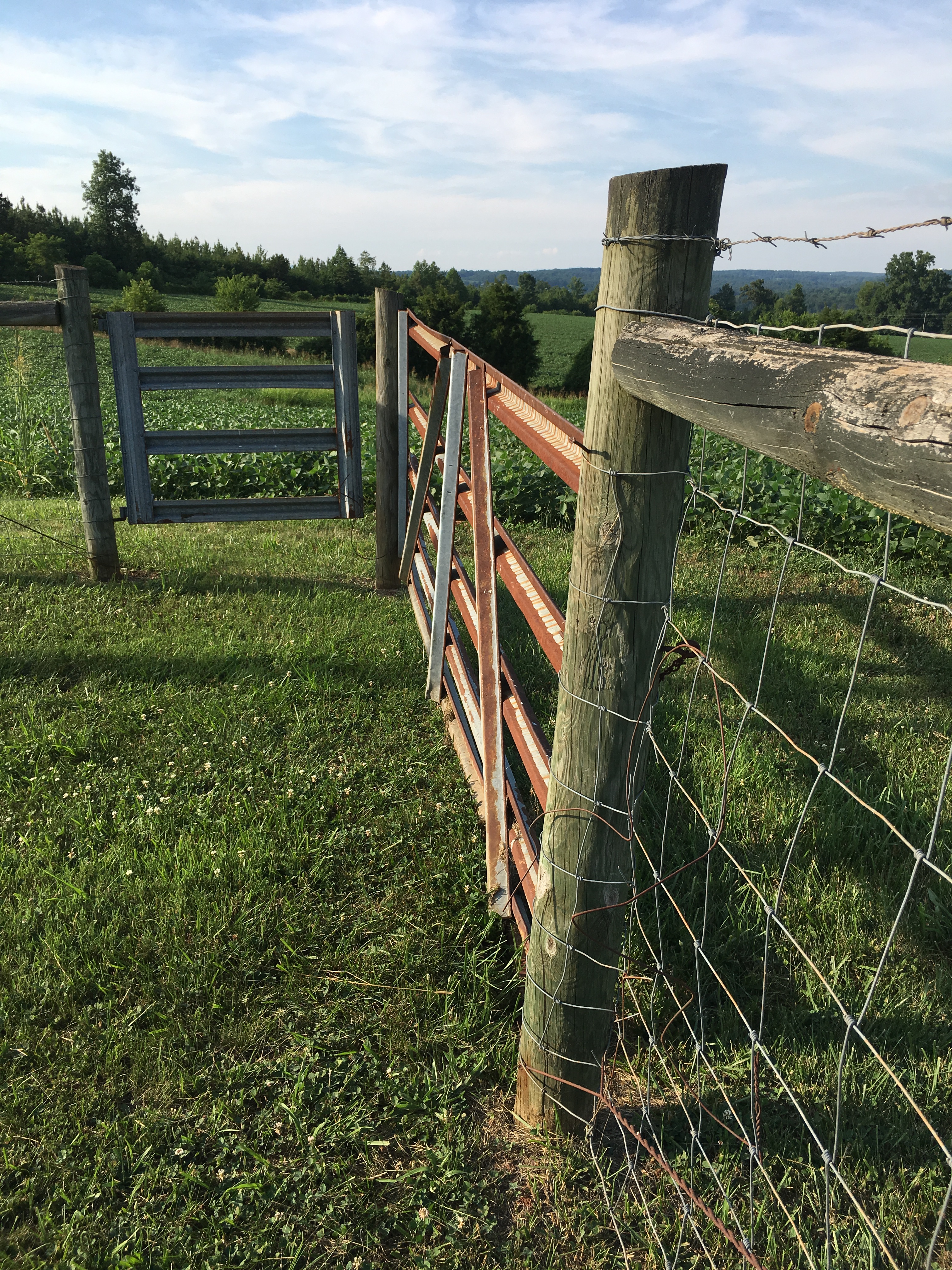 About – Wendy Miles